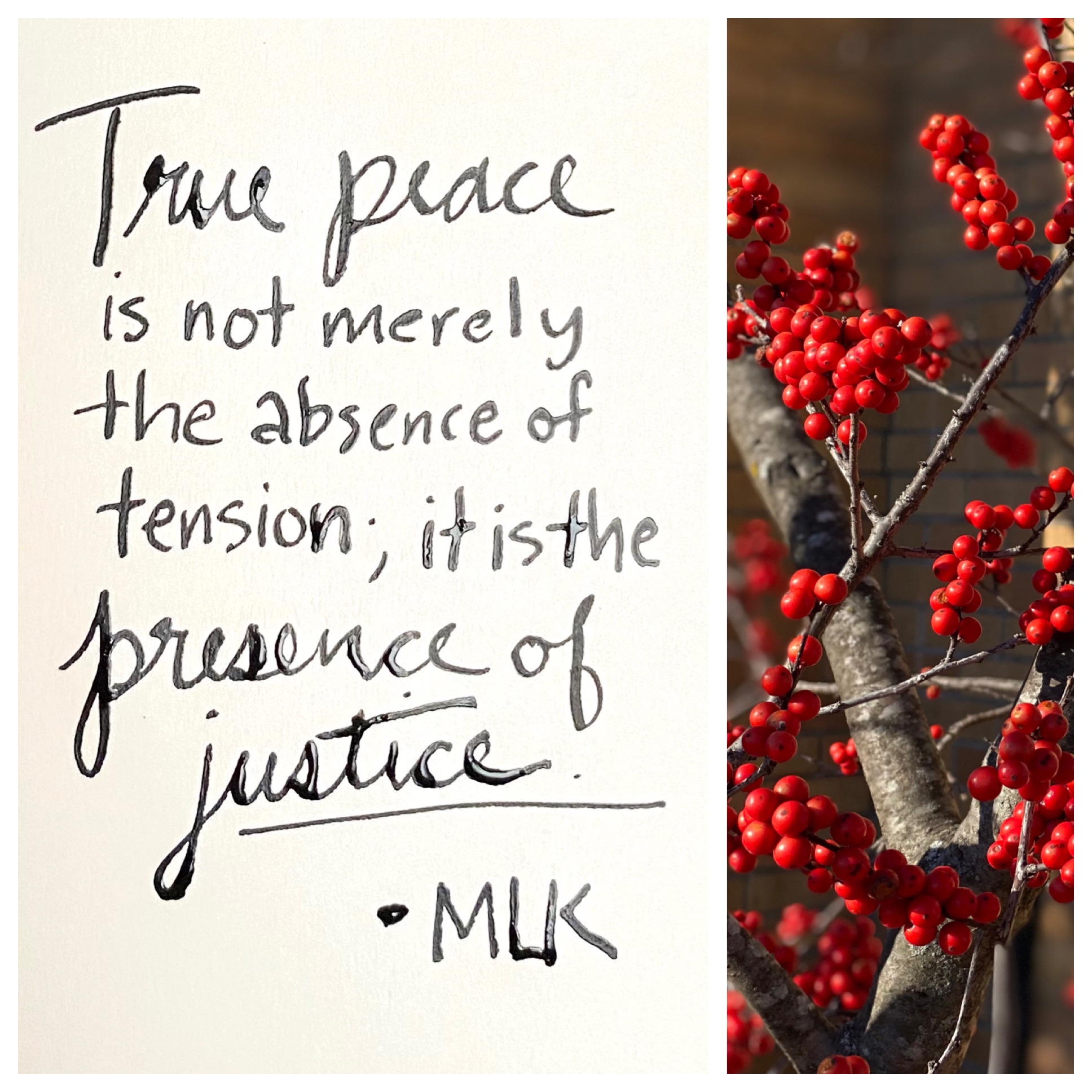 Happy MLK Day - Stony Point Center